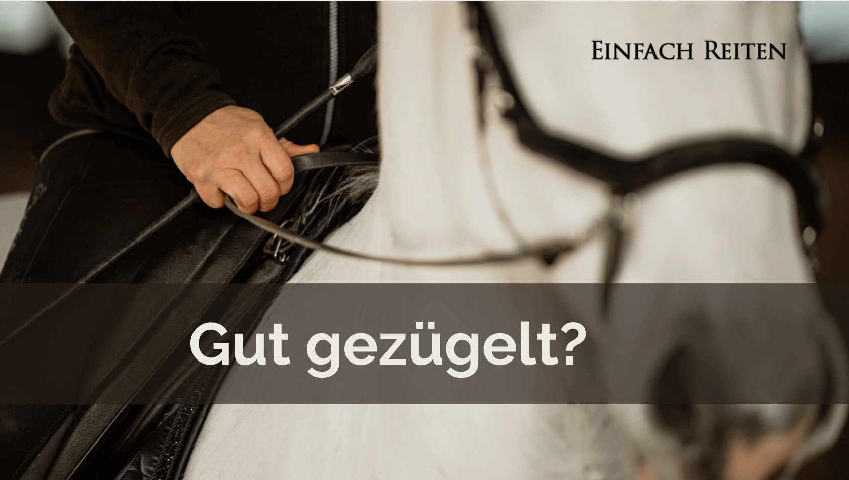 Gut gezügelt? - Einfach Reiten