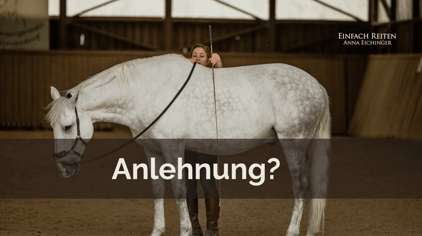 Anlehnung und Reiterhand - Einfach Reiten
